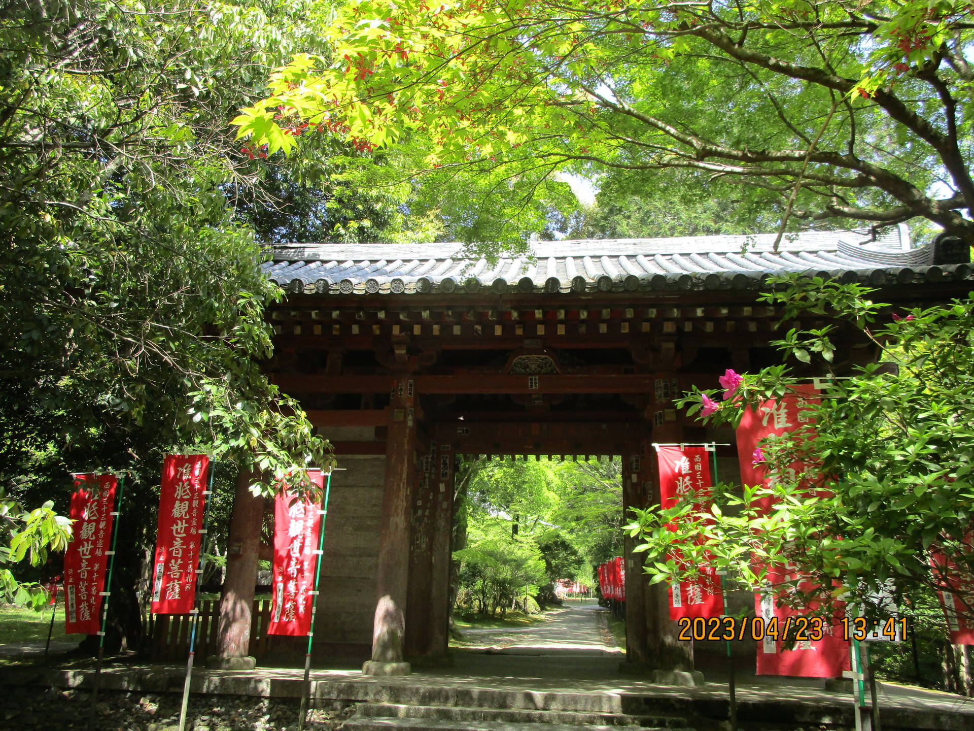 新緑に 包まれる 醍醐寺: めぐりゆく季節 と 2度の 心臓手術体験記
